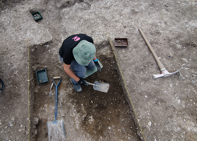 News and Blogs Council for British Archaeology