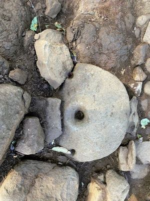 Paid Volunteer at Ancient Odysseys Council for British Archaeology