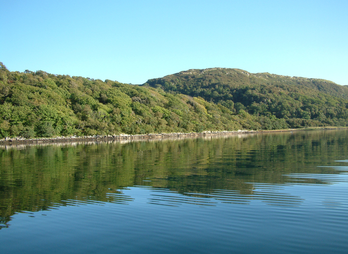 The significance of Argyll’s Temperate Rainforest: Insights into the ...