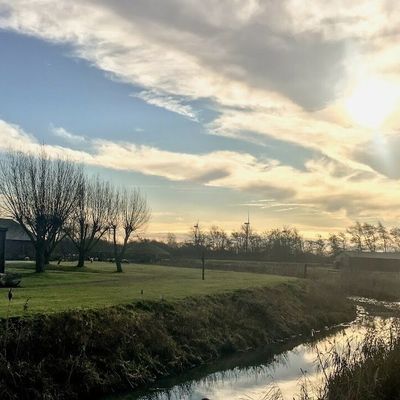 Special tour of Flag Fen with Professor Francis Pryor Council for ...
