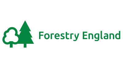 Walking routes in the New Forest Council for British Archaeology